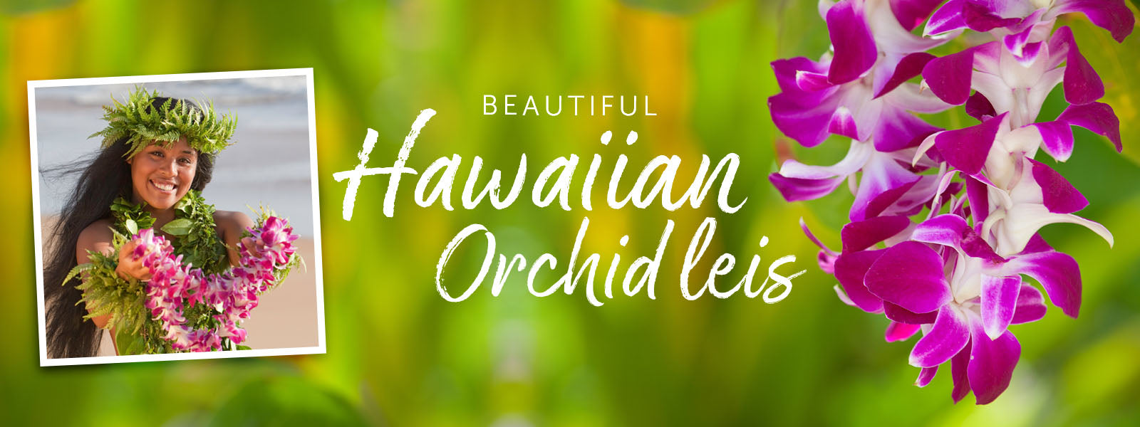 Fresh Hawaiian Orchid Leis delivered - Flower Leis as low as $9.90