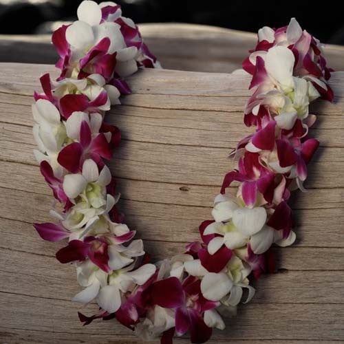 Premium Leis - Pacific Leis