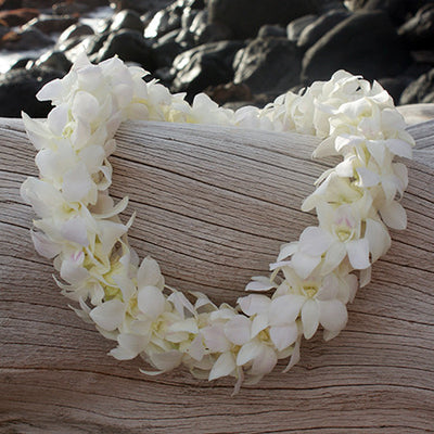 Triple White Orchid Lei - Pacific Leis