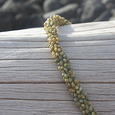 Green Mongo Shell Lei - Pacific Leis