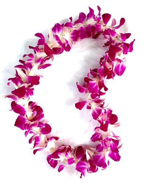Single Purple Orchid Lei - Pacific Leis