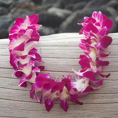 Fresh Hawaiian Orchid Leis delivered Nationwide. Lowest prices!