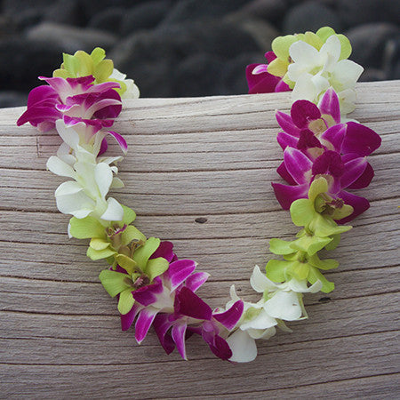Single Orchid Lei Bulk - Pacific Leis