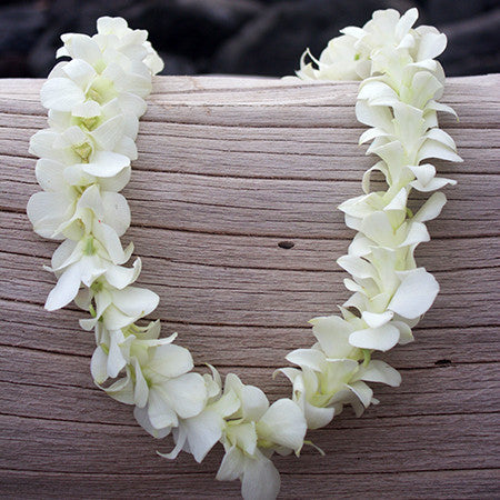 Fresh Hawaiian Orchid Leis delivered - Flower Leis as low as $9.90